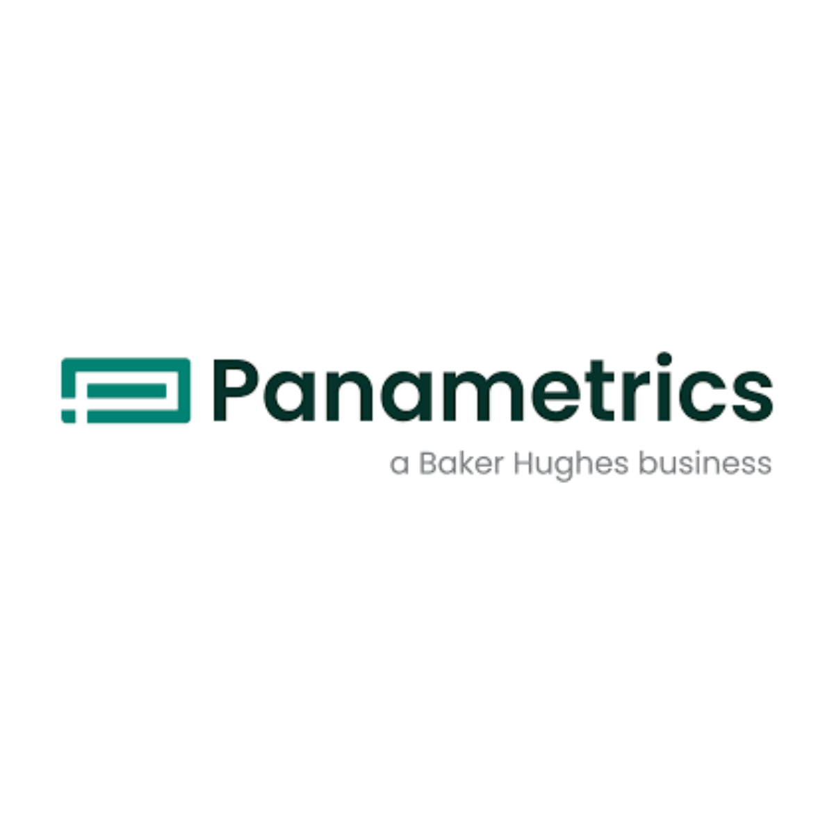 Panametrics Baker Hughes Việt Nam